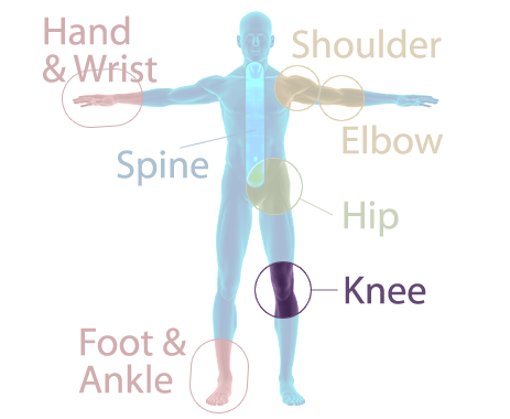 Orthopaedic in Muskegon & Grand Haven, MI | Orthopaedic Associates of ...